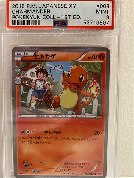 TCG - 2016 Pokemon Japanese XY PokeKyun Collection: raspoutinolaf Set Image Gallery