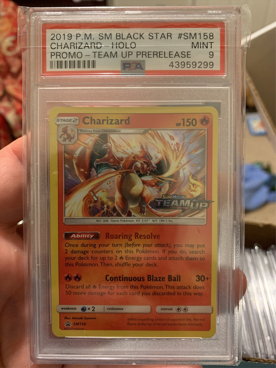 TCG - Pokemon Charizard Master Set : Mypokeguy Set Image Gallery